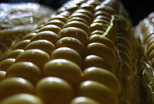 Ag Subsidies, Commodity Trades and Food Security - World Business Academy