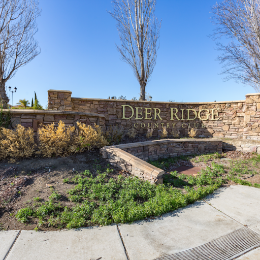Deer Ridge Update - World Business Academy